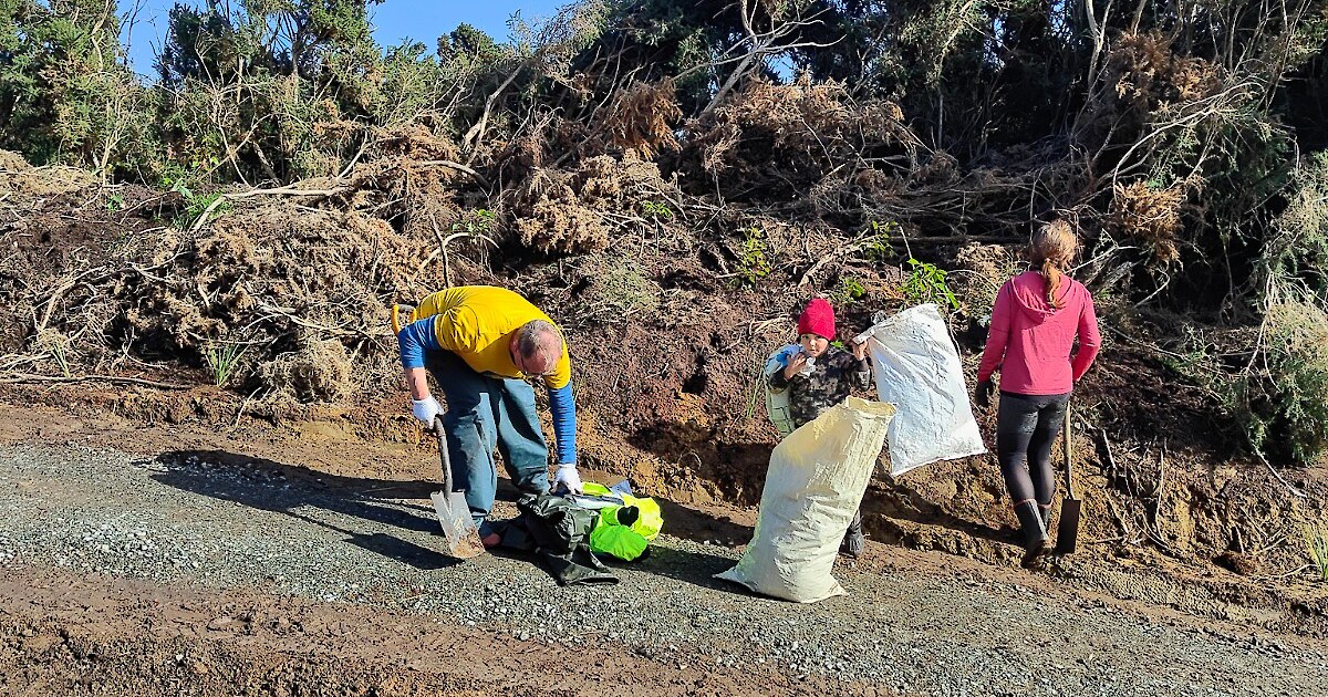 Planting • Bluff Hill Motupōhue Environment Trust